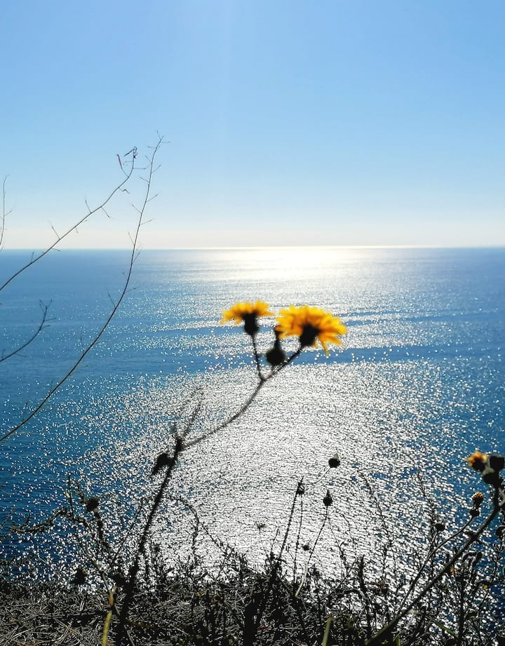 Grand T3/t4 Duplex Bord De Mer 
Parking Gratuit - Fleury