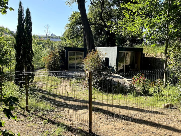 (Mush)room 2,único Na Cidade E No Bosque - Portugal