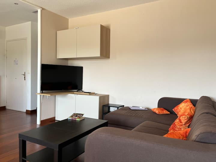 Grand T3 Climatisé à Mougins Le Haut - Mougins