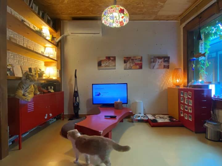 S1-architect's&nbsp;Cat&nbsp;Hanok Sindal House/&nbsp;Twin&nbsp;Room - Gyeongju-si
