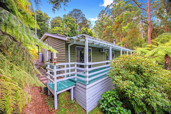 Calming Bush Surrounds, Relaxing Creek Sounds - Warburton