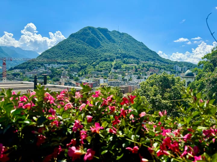 Appartamento Incantevole A Lugano - Lugano