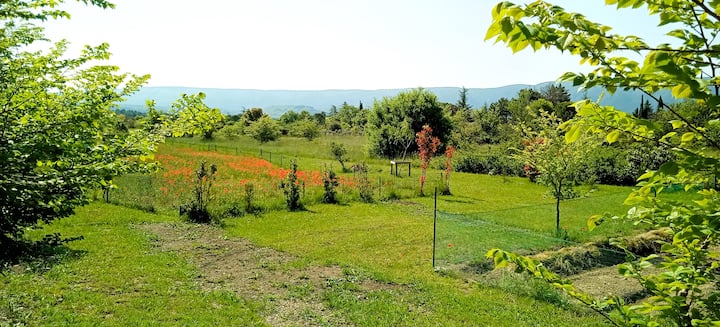 Emplacement Pour Campeur-van-campingcar - Fontaine-de-Vaucluse