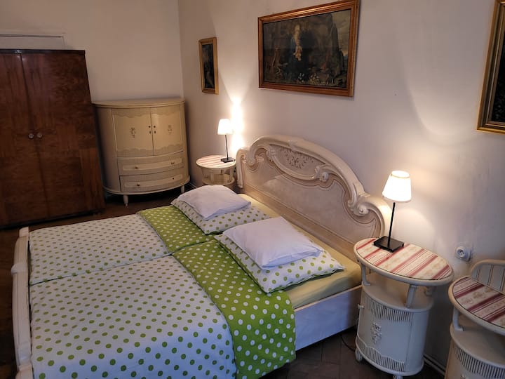 Modern Large Apartment M4b - Prague