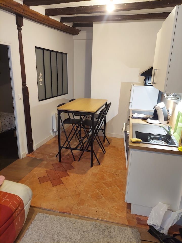 Bel Appartement Du 17ème Rénové - Angers