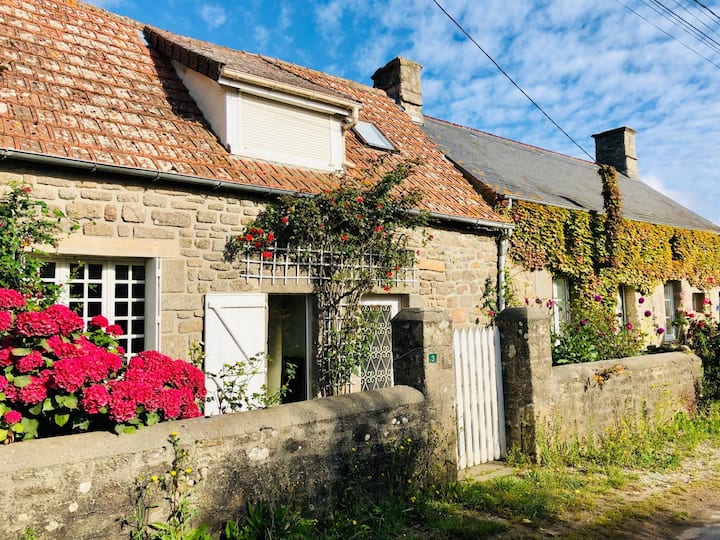 Les Agapanthes★ Une Parenthèse Entre Terre Et Mer★ - Barfleur