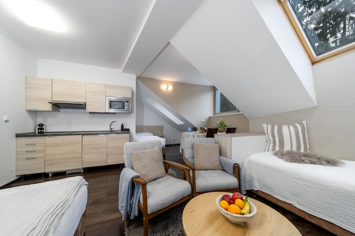 Mountain Aprt With Sauna&parking
Breakfast On Rqst - Harrachov