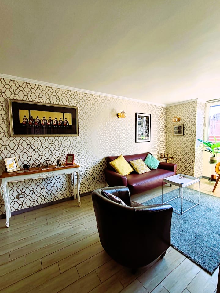 Spacious And Beautiful Place In The Tourist Center - Santiago