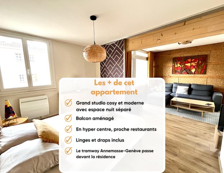 Grand Studio Aux Portes De Genève - Ibis Styles Annemasse Genève