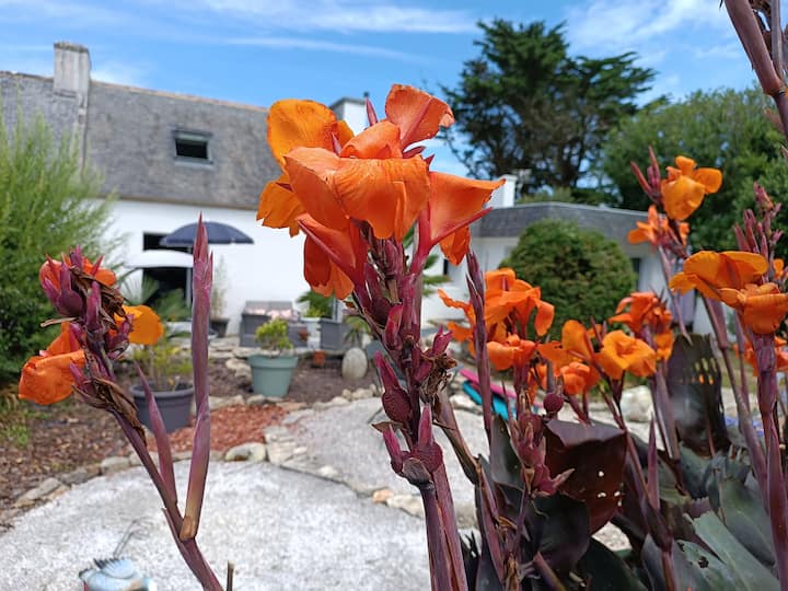 Maison Sud Finistère Dans Le Cap Sizun Primelin - Plogoff