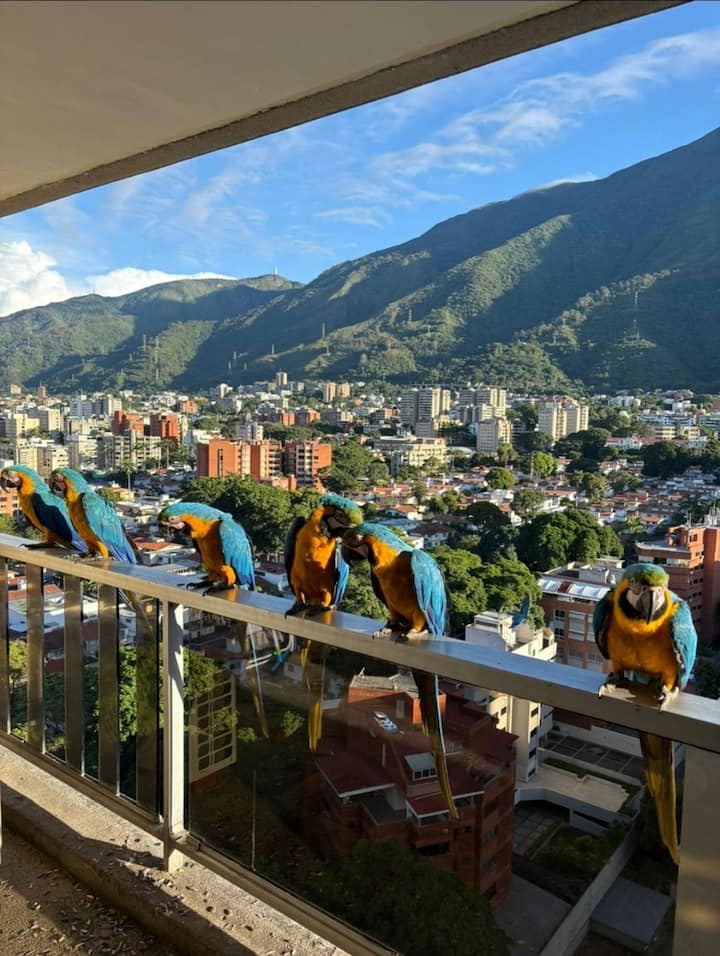 Sebucan Pent House Avec Terrasse/vue Spectaculaire - Caracas