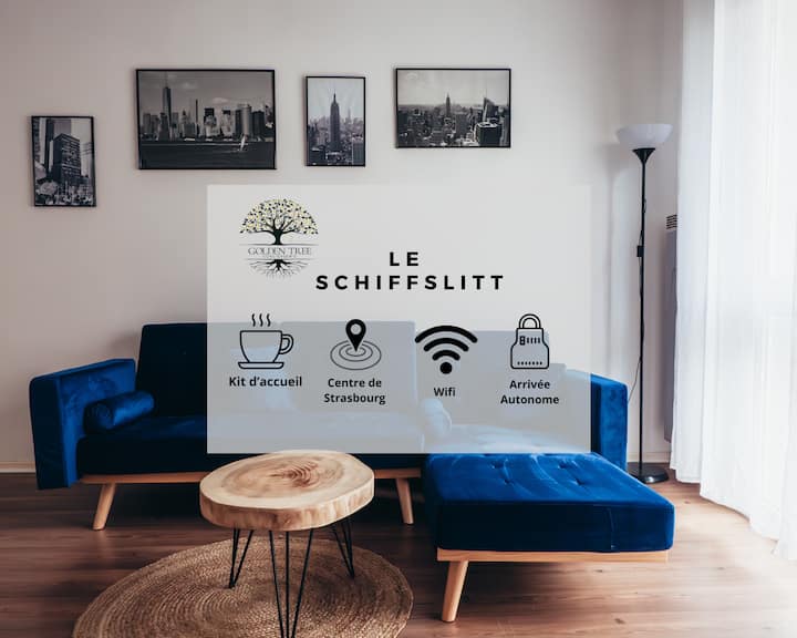 Le Schiffslitt – Hyper-centre, Proche Des Quais - Strassburg