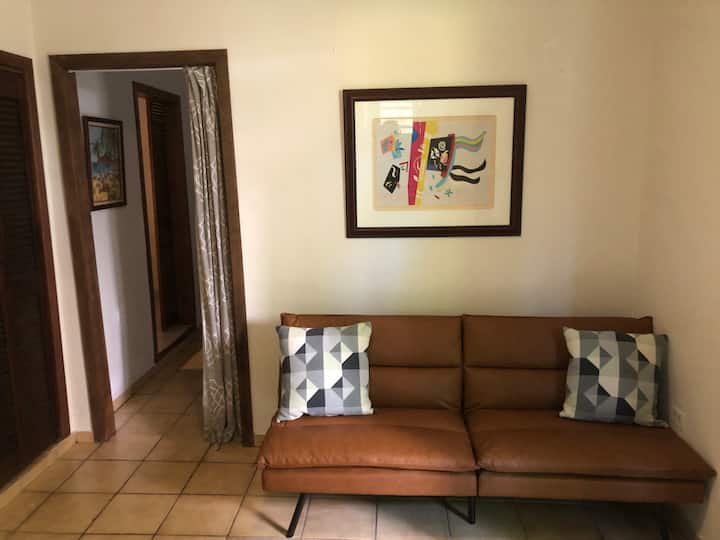 Cozy Venus Place Apt2 (1bed, 1bath +Shared Gazebo) - San Juan