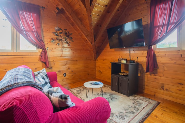 Nuthouse - Pickle Ball, Firepit, Mountain Views - Pigeon Forge, TN