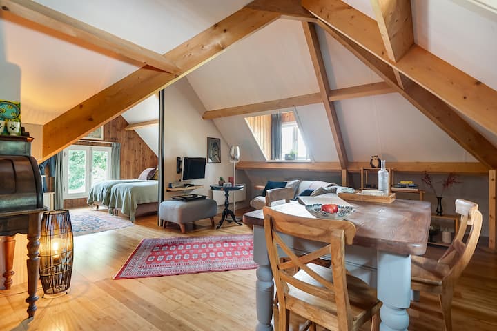 Appartementen Landgoed Het Vlier Lemelerberg - Ommen