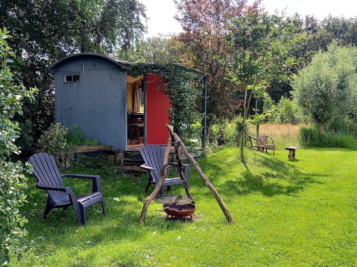 Pipowagen De Braamsluiper - Drenthe