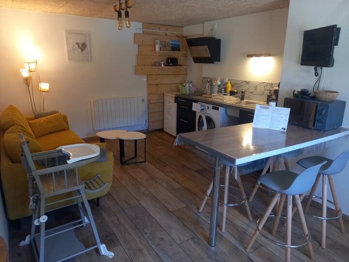 Gîte Cosy Proche Puy De Dôme Et Vulcania Cocon 2 P - Aydat