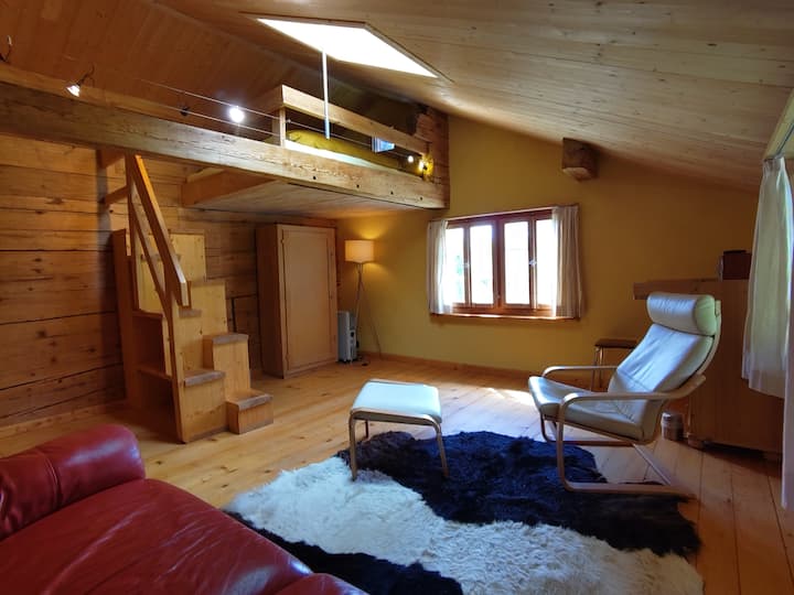 Casa Ruosna Im Val Lumnezia - Obersaxen