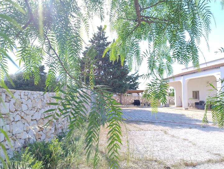 Villa Florence
Grazioso Bilocale Immerso Nel Verd - Torre Lapillo