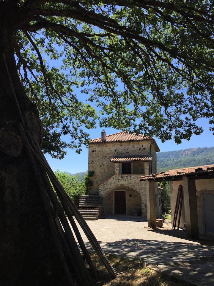 Ancient House In A Green Oasis - Laurino
