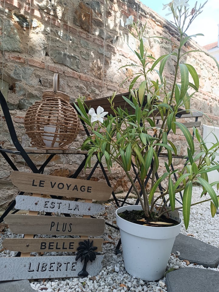 Havre De Paix Cocon Avec Jardin  Vichy Centre - Cusset