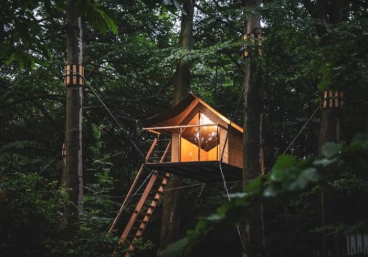 Boomhut 'Bladerdek' - Slapen Tussen De Bomen - Oostkamp