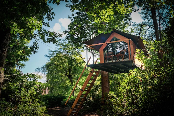 Boomhut 'Bladerdek' - Slapen Tussen De Bomen - Oostkamp