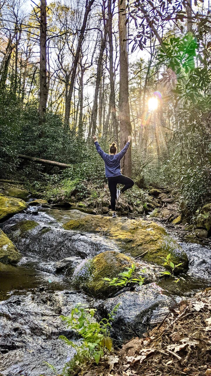 Cozy Cottage/
Walk To Glen Falls/ Highlands, Nc - Highlands, NC
