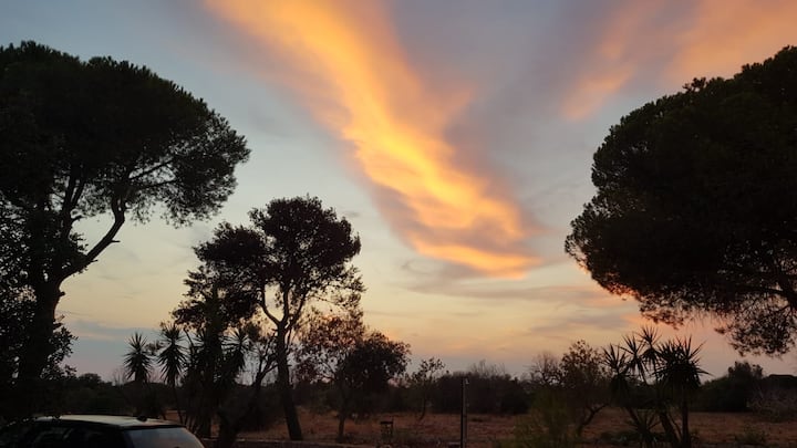 Ninfeo – Sea View Cottage Among Olives In Salento - Torre San Giovanni