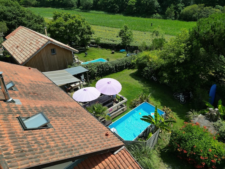 House Seignosse Swimming Pool Forest Nature Brazier 3 Km Beach - Seignosse