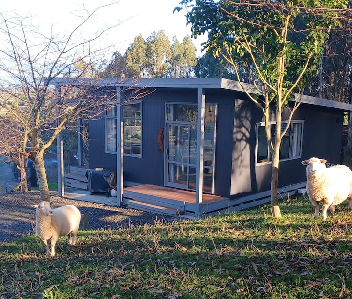 Little Forest Cabins Number 3 - Feilding