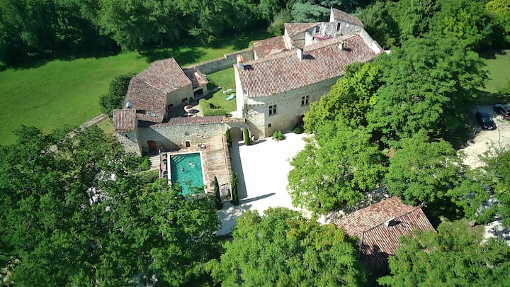 Château De Pleneselve (12 Personnes) - Agen