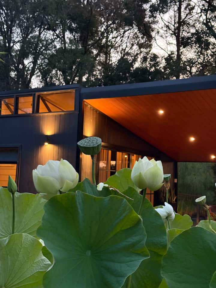The Lotus Pod - Unique Guesthouse With Views - Dangar Island