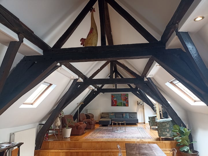 Duplex De Charme 120mc Bruxelles Centre Historique - Brussels Zaventem Airport (BRU)