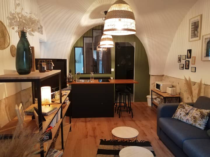 Studio Atypique Avec Voûtes Et Pierres Apparentes - Lac d'Aydat