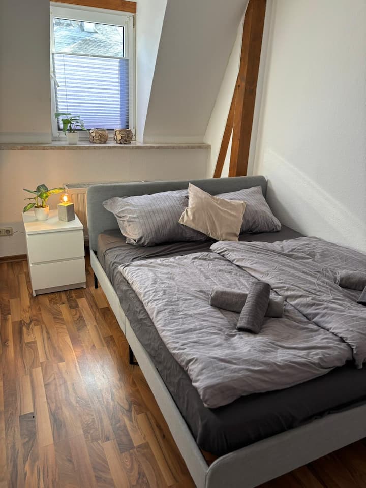 Komfortable Ferienwohnung  Am Stadtwald Von Plauen - Plauen