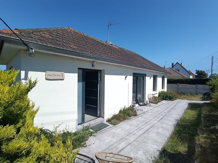 L'oyat Des Dunes - Ouistreham