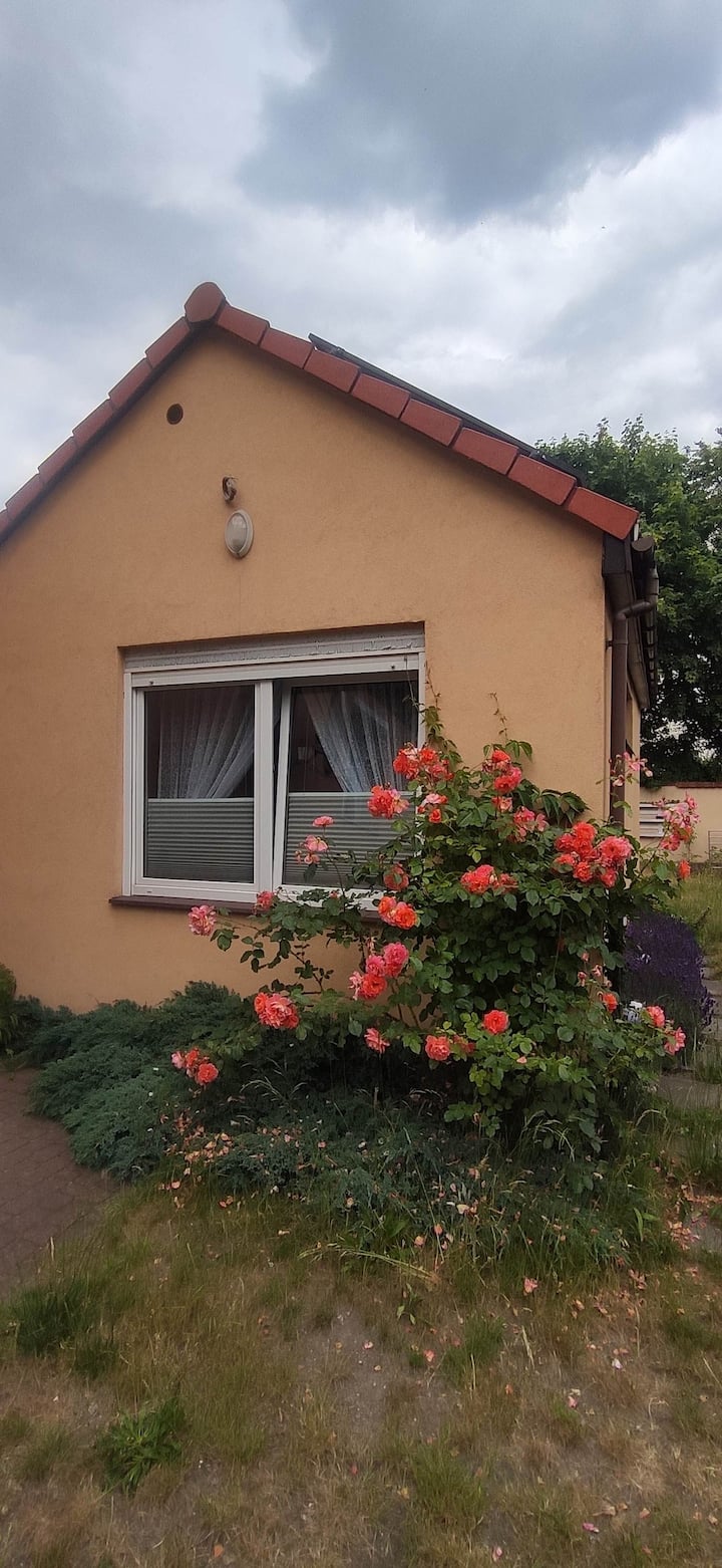 Domek Gościnny - Sopot