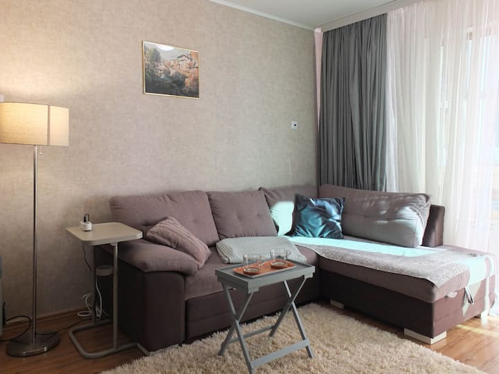 The Snug Apartment Near The  Brimming Mountains. - Bansko
