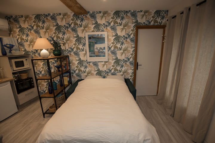 Agréable  Logement Indépendant Avec Véranda - Ampuis