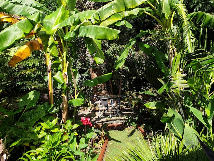 Whanganui Haven - Riverside, Complimentary Dinner - Whanganui