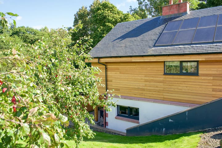 Bluebell Lodge - Dundee, UK