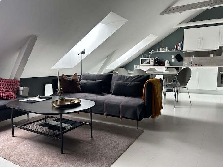 Loft Appartment Grünerløkka - Oslo