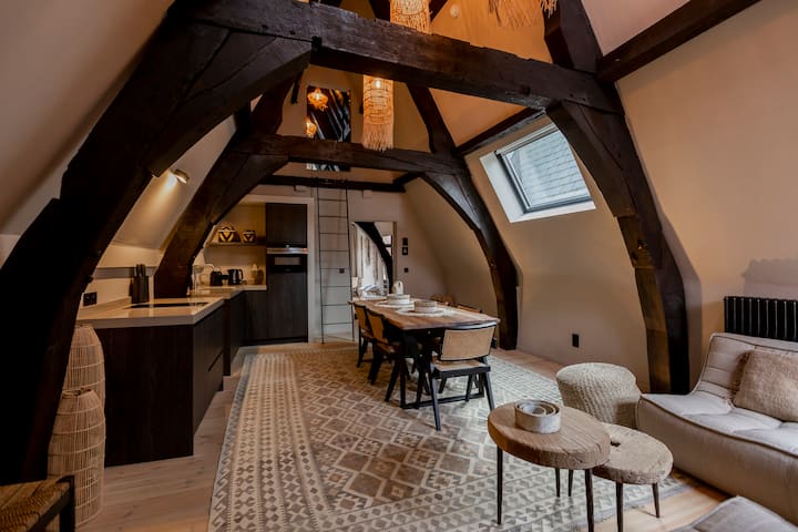 Luxury Barbera Appartamento In Historic Antwerp - Antwerp