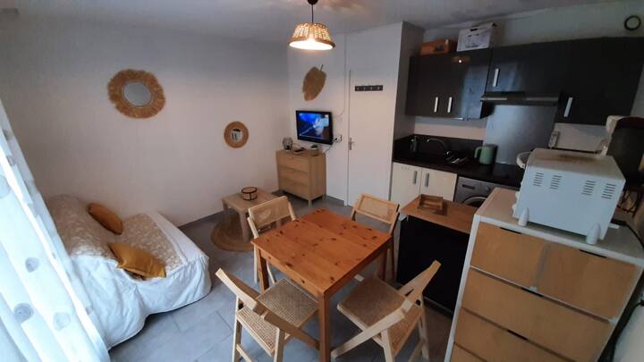 Appartement Proche Cures Thermales Parking Gratuit - Ax-les-Thermes