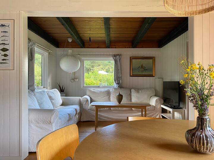 Cozy Cottage W/ Large New Deck Near The Beach - Denmark