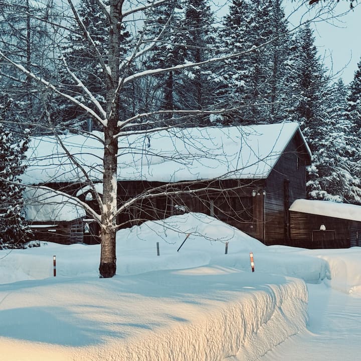 õ Shack, La Nature à 35 Minutes Du Vieux-québec - Quebec