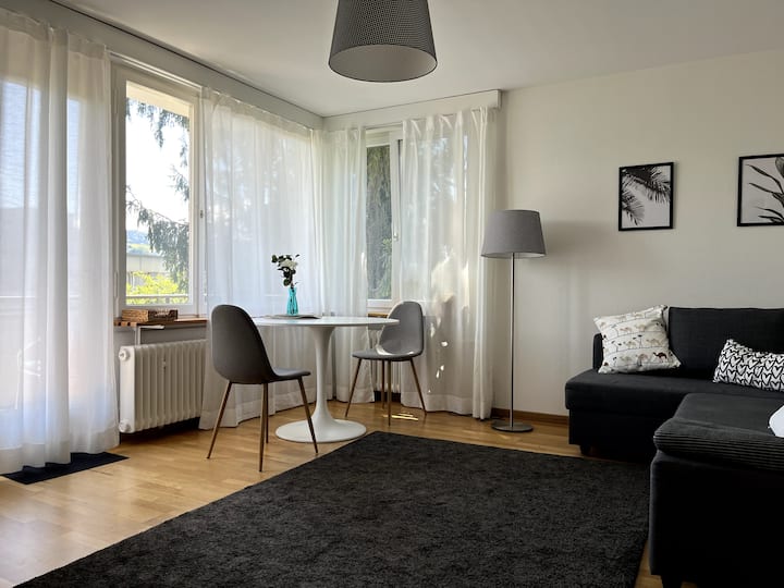 Sonniges Und Helles Business Apartment "Diana 3" - スイス ザンクト・ガレン