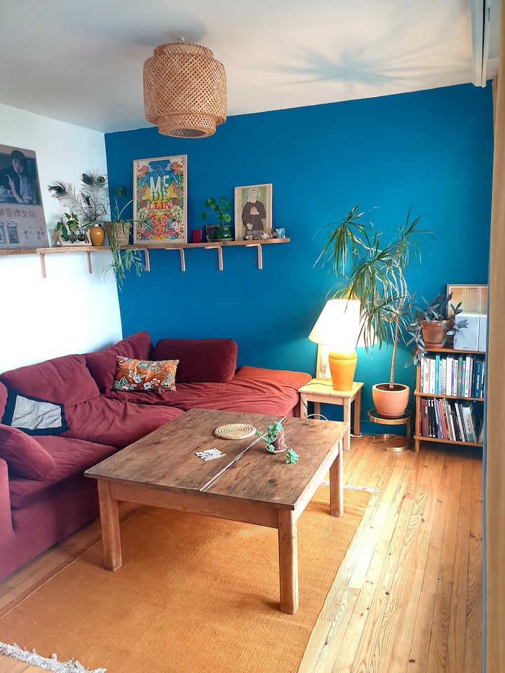 Appartement à Toulouse, Quartier Des Minimes - Toulouse