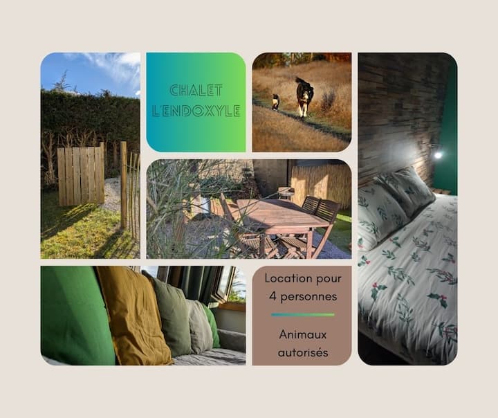 Chalet - L'endoxyle - Beaumont